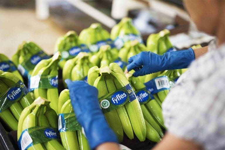 Bananas - Fyffes