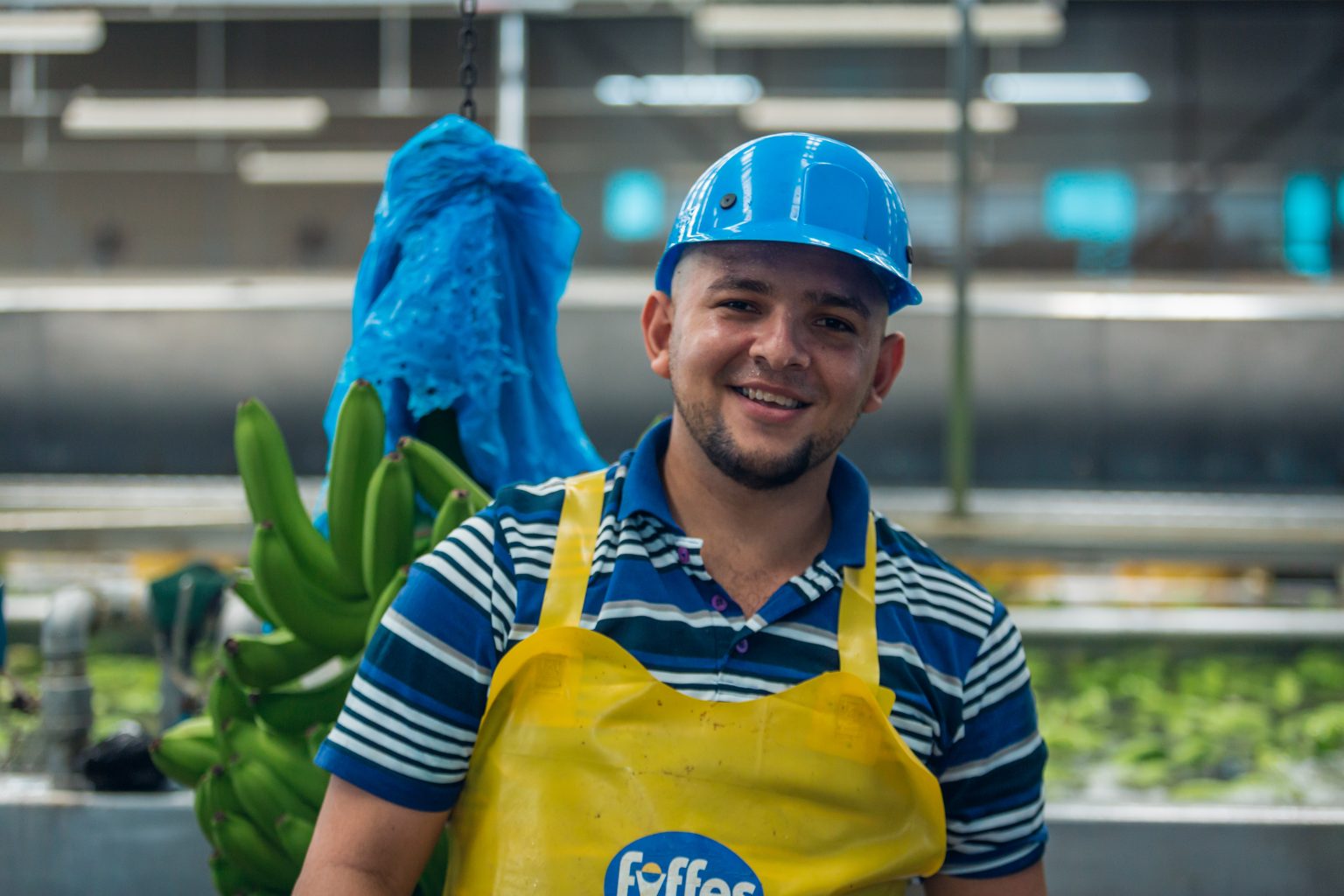 We Are Fyffes