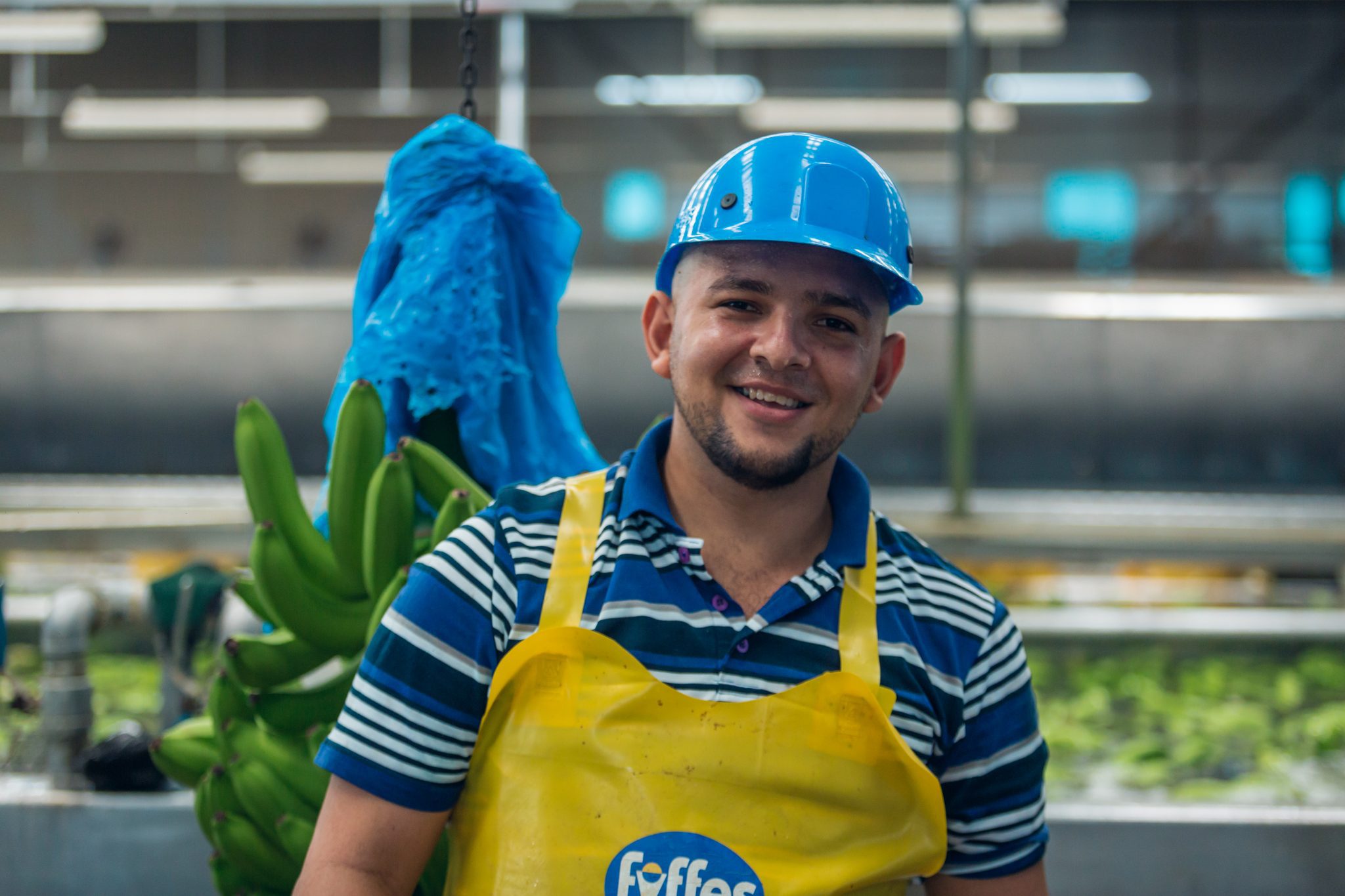 News - Fyffes
